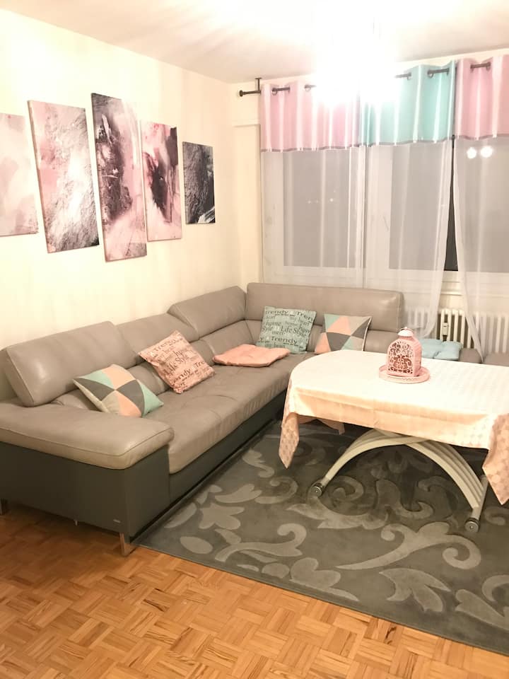 Appartement 3 Chambres Proche De Toutes Commodités - Mulhouse