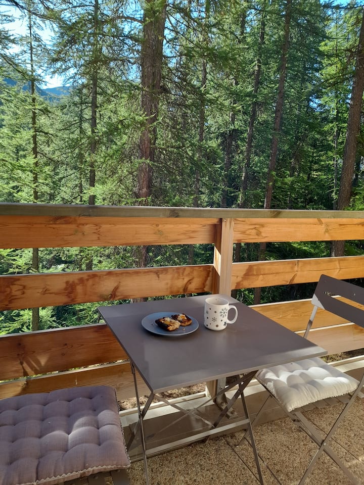 Appt T2  35 M2  1 à  4  Personnes  Vars Les Claux - Vars