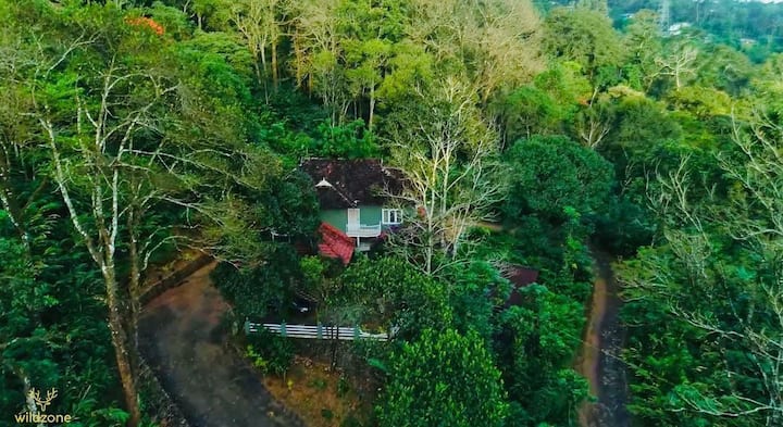 Plantation Villa 4 Bedroom - Munnar