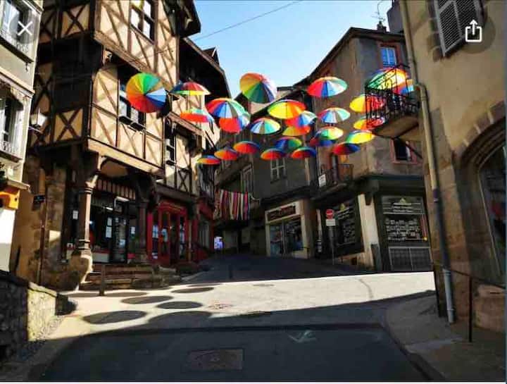 Appartement Centre Ville Thiers - ibis Budget Thiers