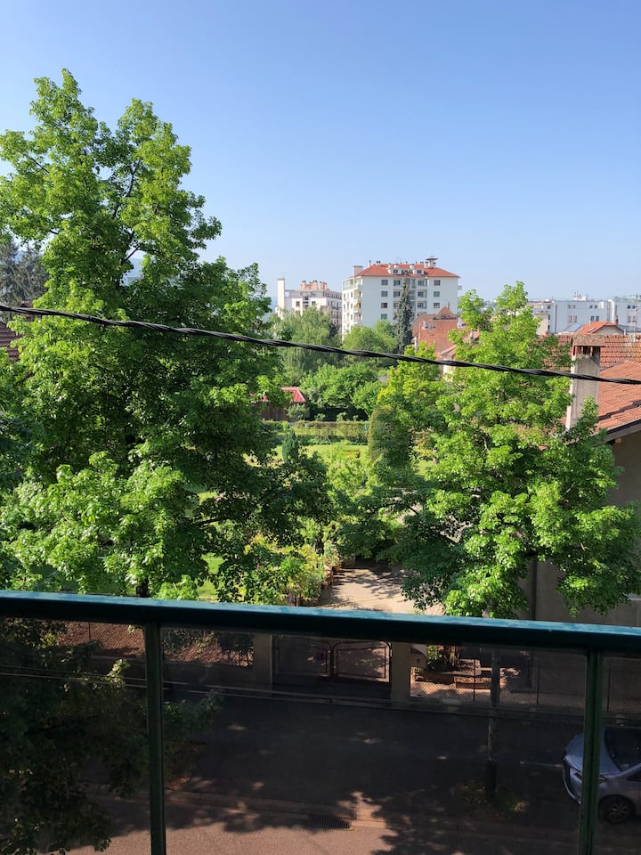 Lumineux T3 Avec Garage Annecy - Annecy