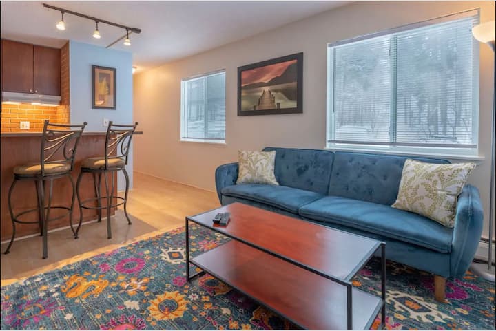 ✭ Fully Equipped 1br Breck Condo ✭ Walk To Trails! - Breckenridge, CO