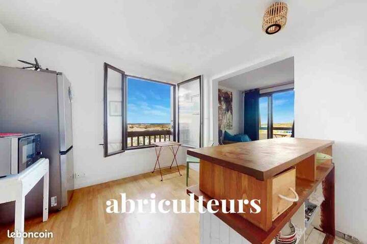 Appartement Premier Front De Mer Le Penon - Seignosse