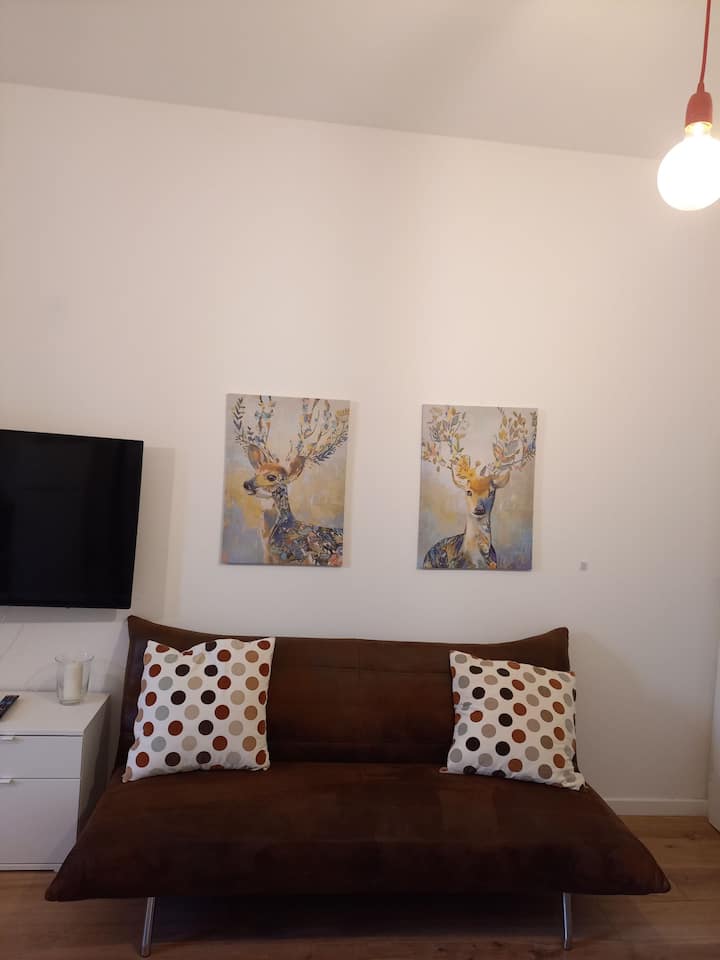 Nuovo E Incantevole Loft Nel Cuore Di Forlì - Forli
