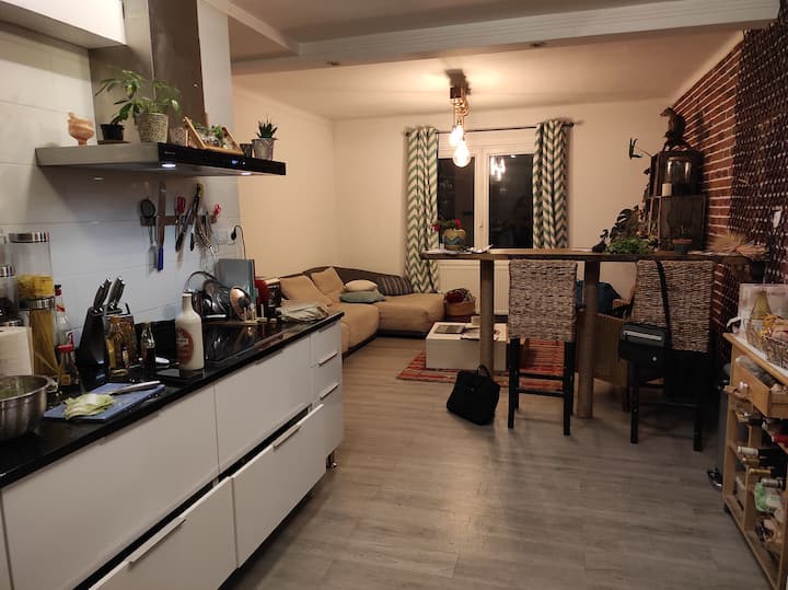 Bel Appartement Avec Extérieur, Parking Gratuit - Saint-Martin-d'Hères