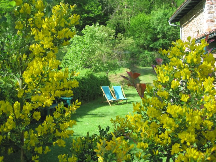 Charming Stone Cottage In Lush Forest Valley - Ariège