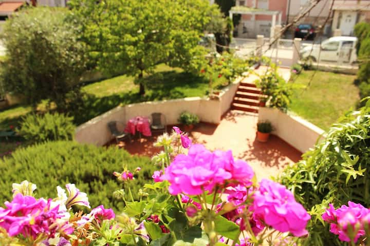 Domelia Apartment - Podstrana