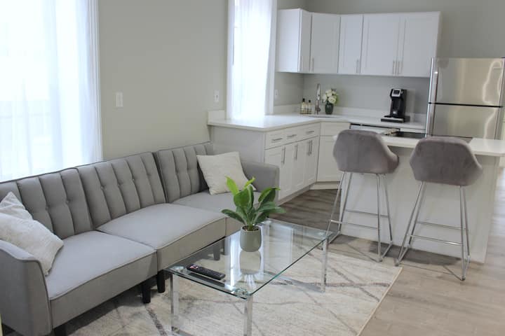 Wow ★ Bright Apt ★ Prime Downtown Walk Everywhere - Albany, NY