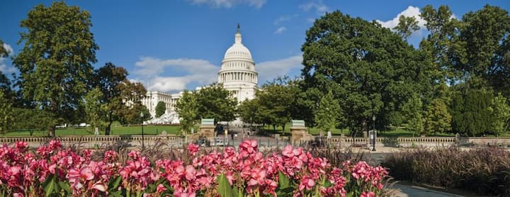 Capital Hill/3brm1bacondo1blockmetro/6/3 - Alexandria, VA