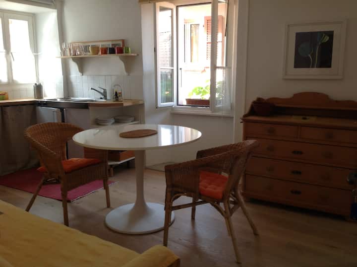 Cosy Studio In Historical Village On Lago Maggiore - Locarno