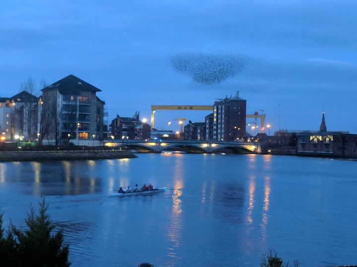 Tranquil Home With A View - Belfast
