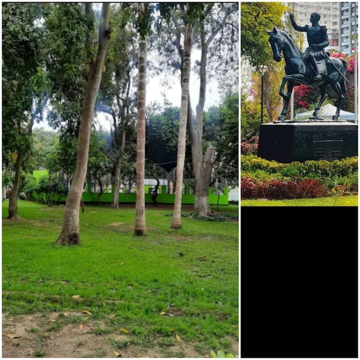 Departamento Central - Lima