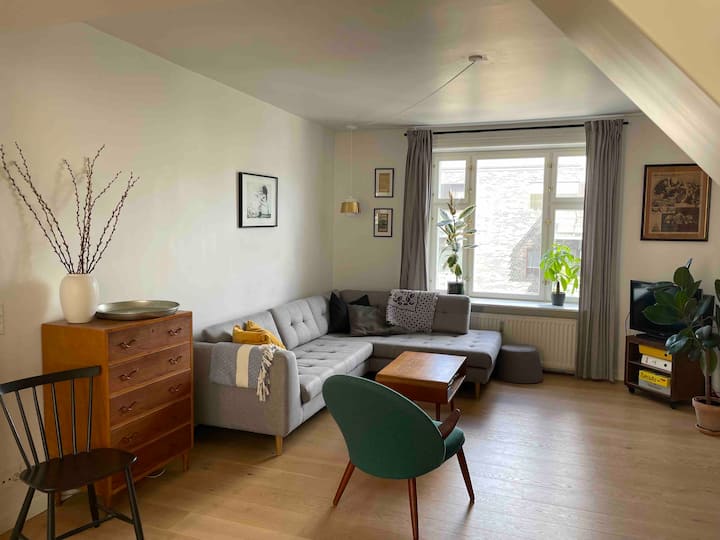 Family Friendly Apartment With Roof Top Terrace - Copenhaguen
