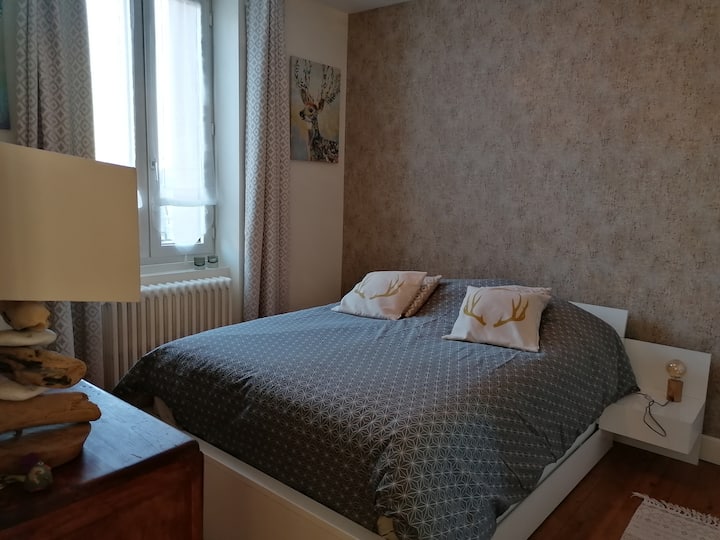 Chambre Avec Salle De Bain Et Toilettes Privatifs - Clermont-Ferrand