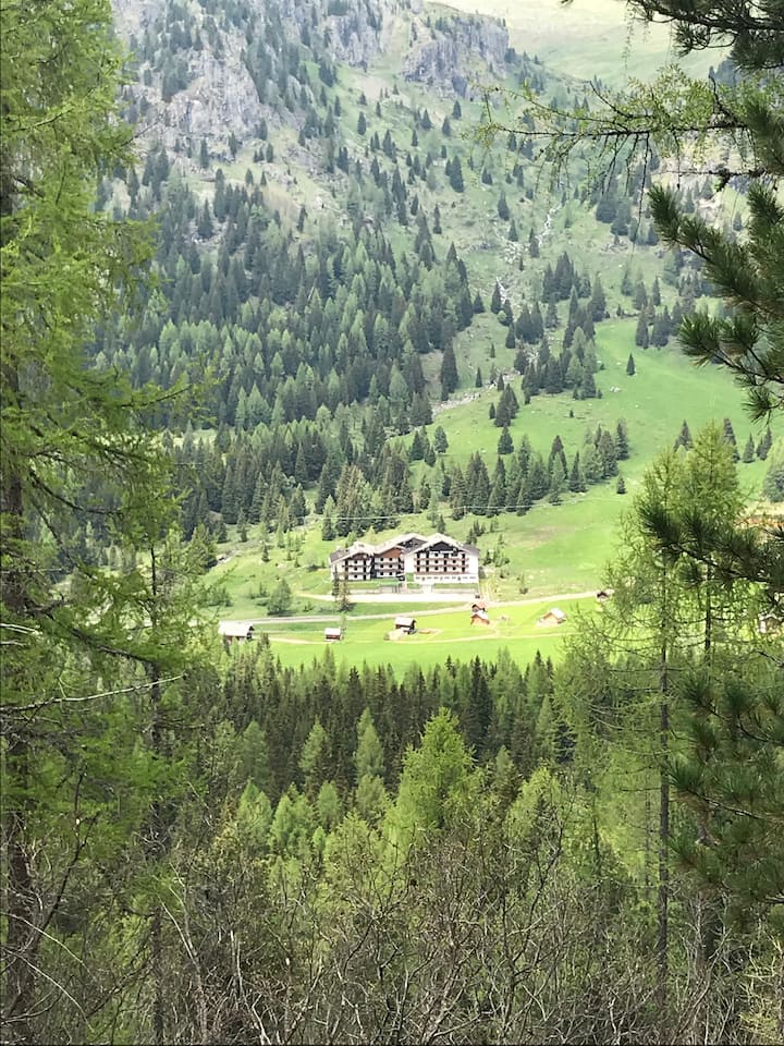Piccolo Appartamento Nel Verde Delle Dolomiti. - Passo San Pellegrino