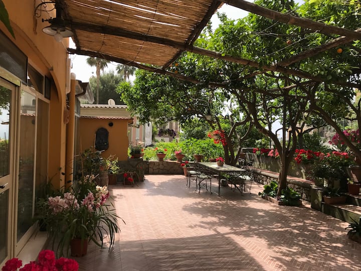 Villa Ortensia - Positano