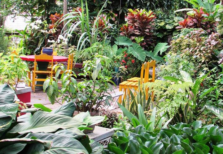 Hyacinth's B&b - Guyana