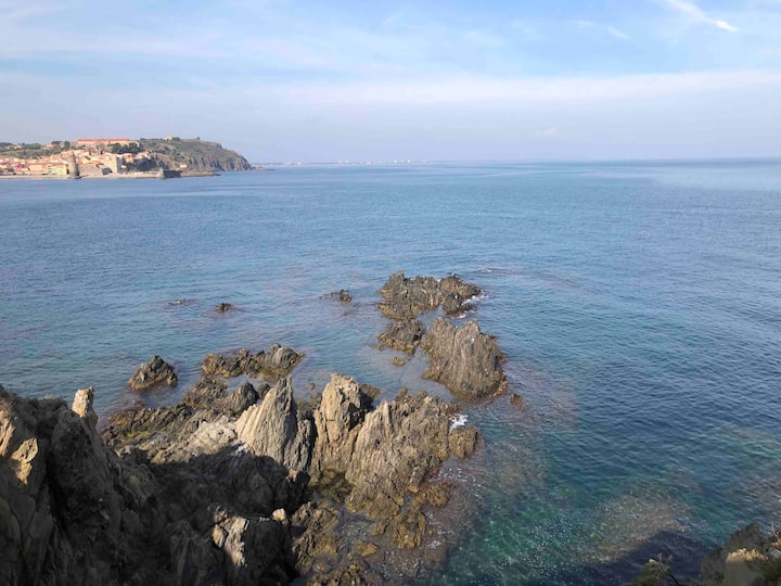 Agréable Appartement En Bord De Mer - Plage de Collioure (Les pêcheurs)