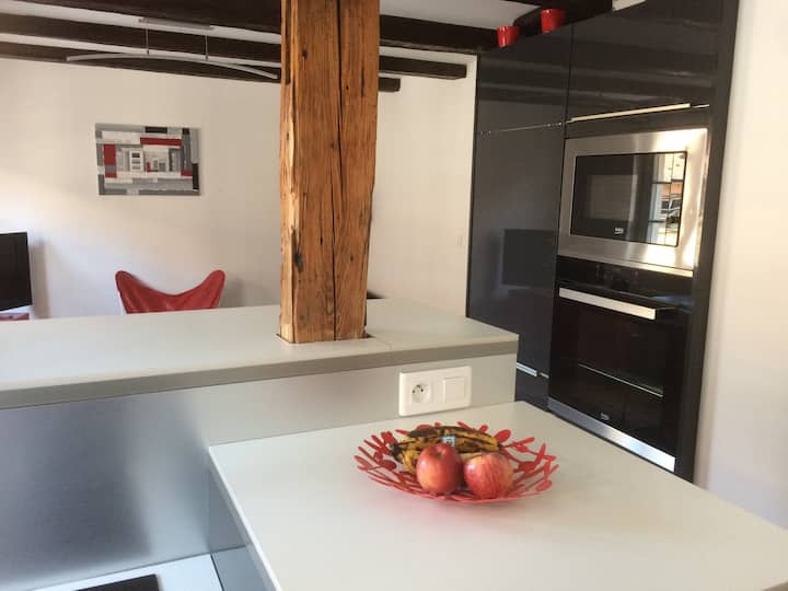 2 Pièces Cosy - Petite France - Strasbourg