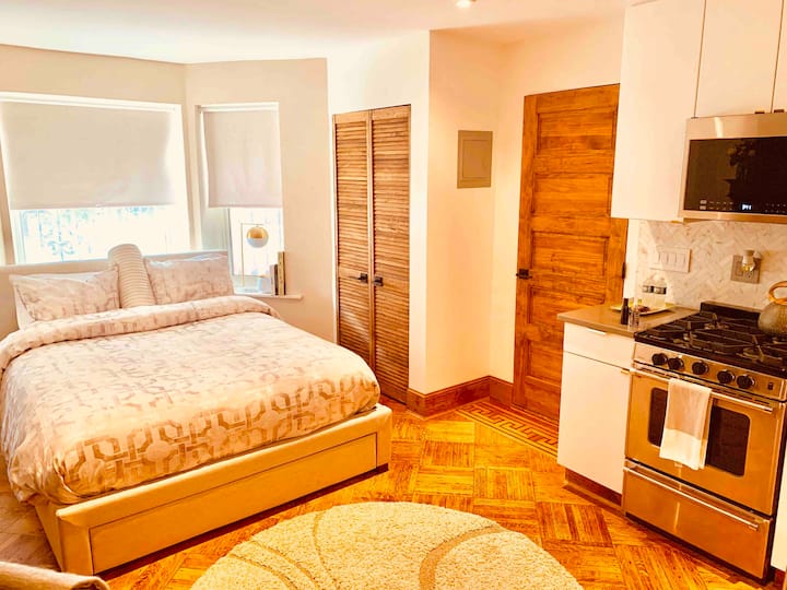 Mint Condition Crown Heights Studio With Amenities - New York
