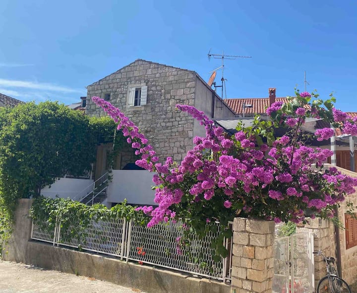 Vis, Kut - Old Town - Vis