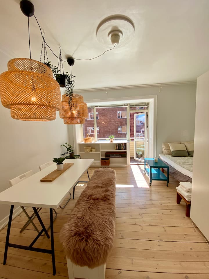Charming Apartment With Two Balconies - Copenhaguen
