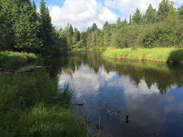 Top 15 Things To Do In Grayling, Michigan | Trip101