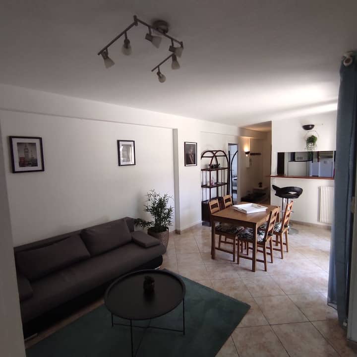 Bel Appartement Spacieux Et Climatisé - Montpellier