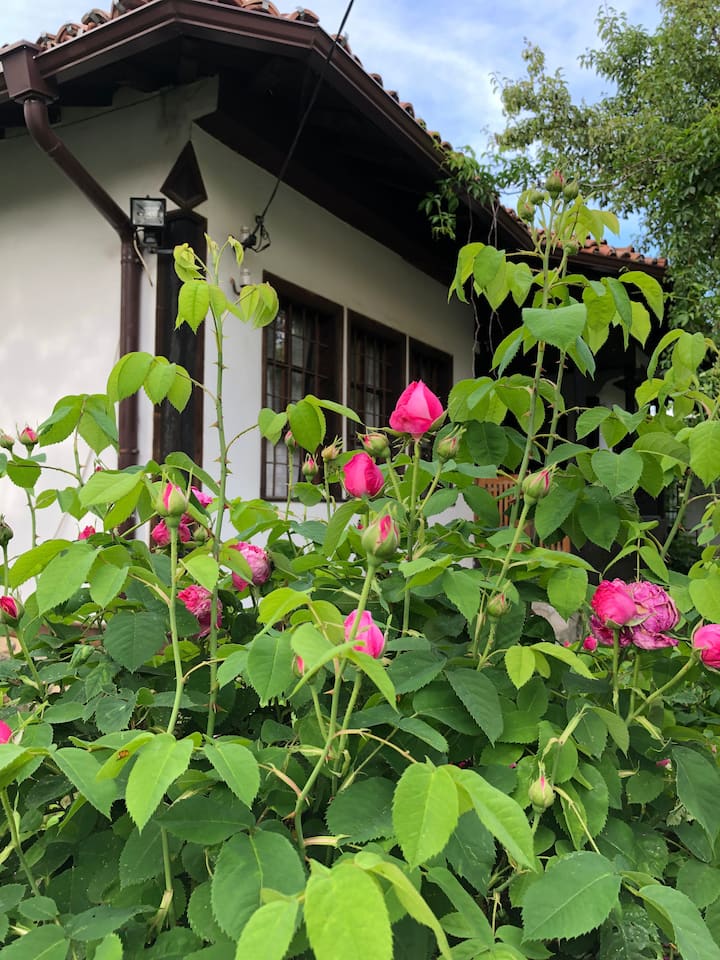 The White House In The Historic Centre - Govedartsi