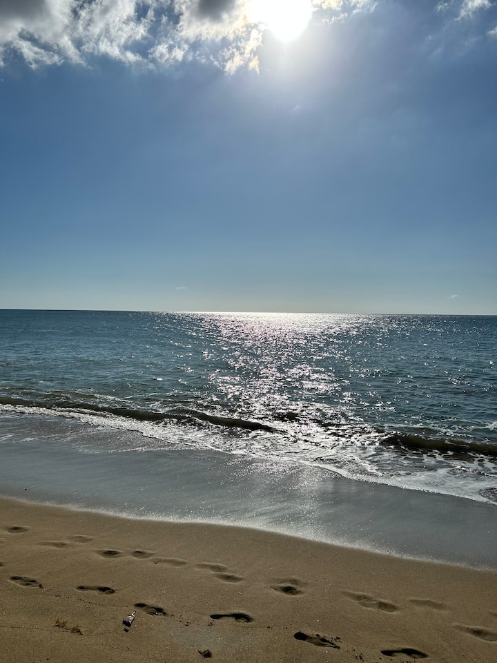 Rincon Coconut Cottage Apartment - Rincón