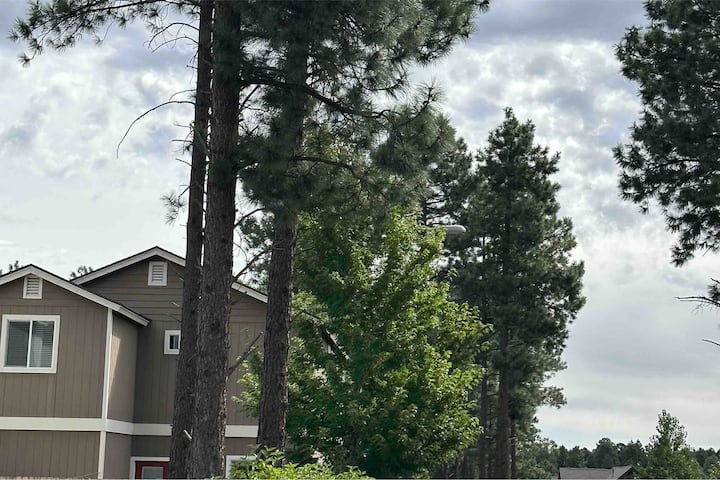 High Country Retreat! Close To Nau/downtown/trails - Flagstaff