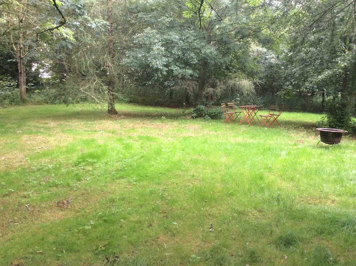 Woodland Camping Pitch - Exmoor