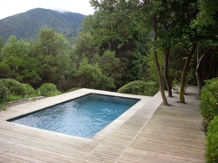 Wonderful House In Zapallar Chile - Papudo