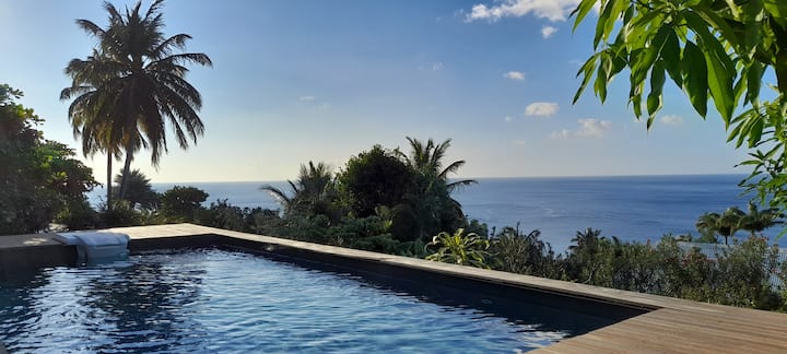 "Ferryblue"
Logement 3 éToiles
Vue Mer, Piscine - Deshaies
