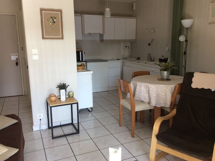 Appartement Calme Et Lumineux Centre Ville - Brive-la-Gaillarde