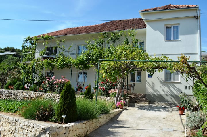 Summer Time @Home Away From Home 1 - Seget Vranjica