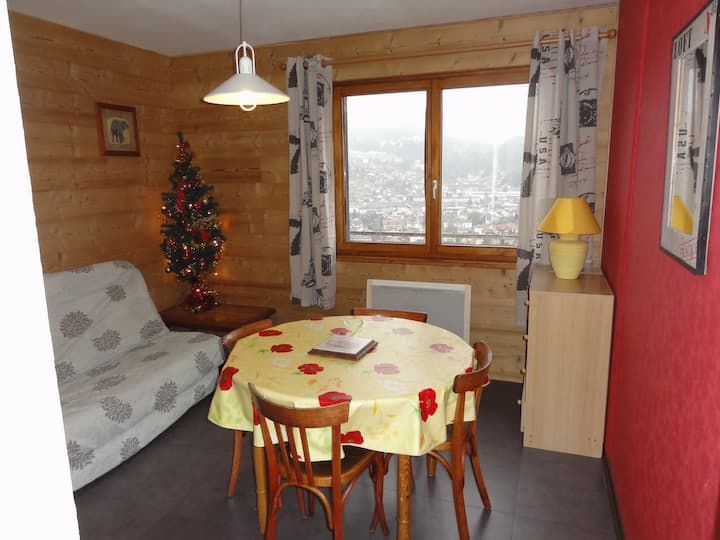 Gîte 2/3 Pers. Cosy, Calme, Vue Sur Lac Et Vallée. - Gérardmer