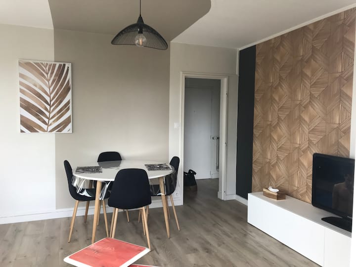 Appartement Douillet - Laval, France