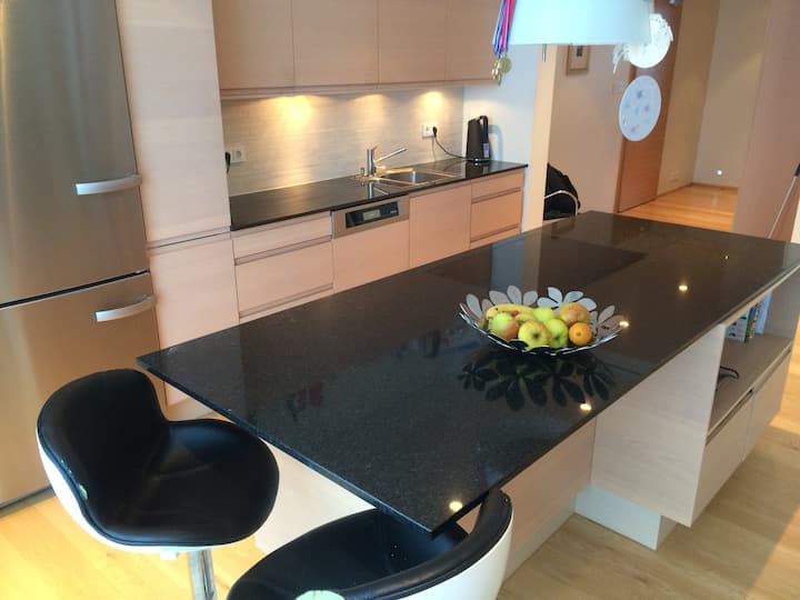 Appartment With Sea View - Reykjavík