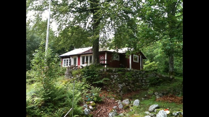 Idyllisk Skovhytte Direkte Til Sø, Magisk Søudsigt - Tyringe