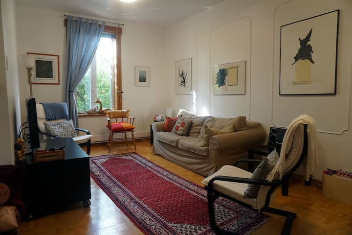 Appart Entre Le Jardin Botanique Et Le Centre-v. - Montreal