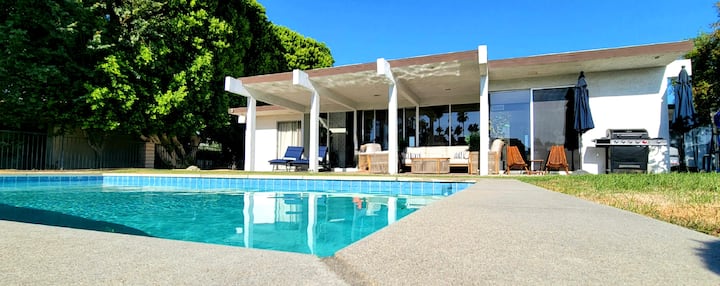 Lady Bird Oasis - Heated Lounge Pool, Yard, Sun! - Indio, CA