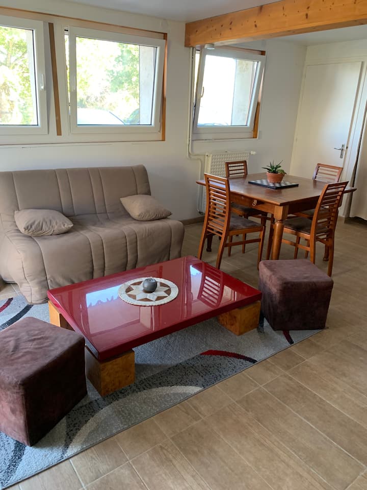 Logement Entre Lacs Et Montagnes Avec Jardin - Bernex