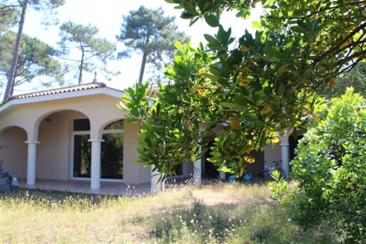 Maison De Famille Agréable Et Conviviale Au Canon - Cap Ferret