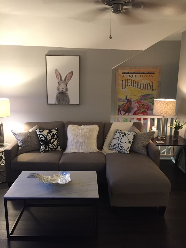 Furnished 1 Bdr, City View - 聖安東尼奧