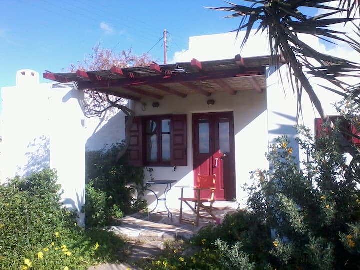Farmhouse At Kakapetra Paros - Paros