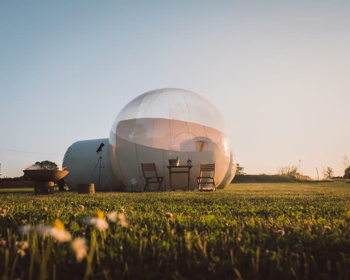 The Sleeping Bubble Hotel Glamping Experience - Canterbury