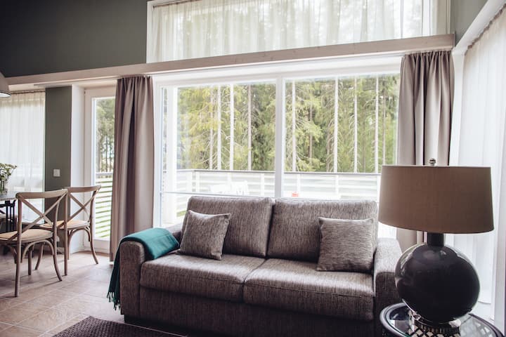 One-bedroom Apartment 52m2, For 2 + 2 - Imatra