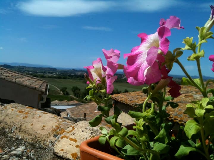 Sunny House W/roof Terrace In Castelnau-de-guers - Pézenas