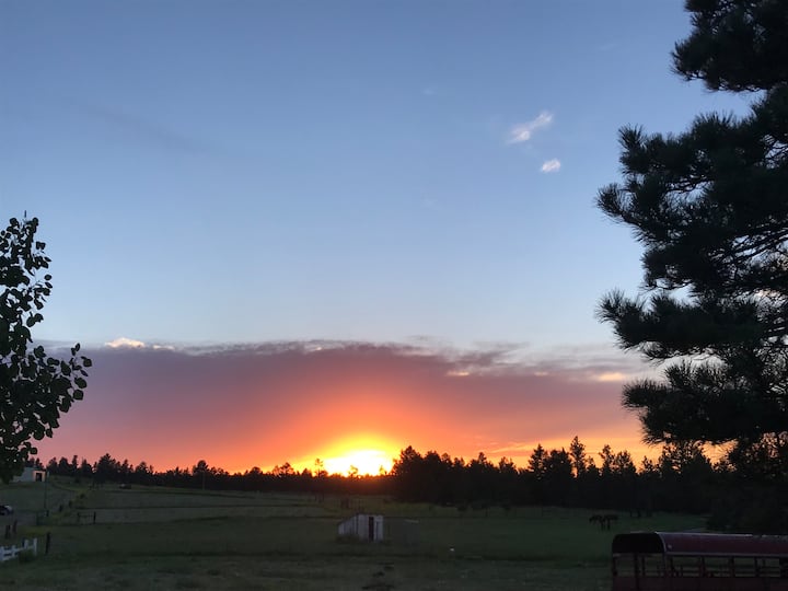 Big Sky Ranch Stay - イエローストーン, MT